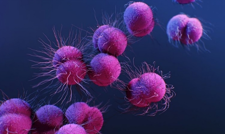 Científicos desarrollan antibiótico para tratar bacteria ...